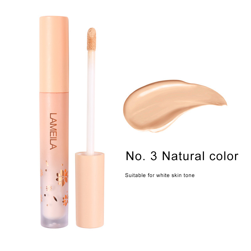 GL.Mini Concealer Waterproof Makeup Full Cover Flawless Facial Oil ...