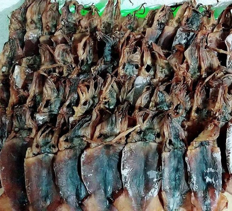 1kg Dried Pusit / Squid from Bantayan Cebu | Lazada PH