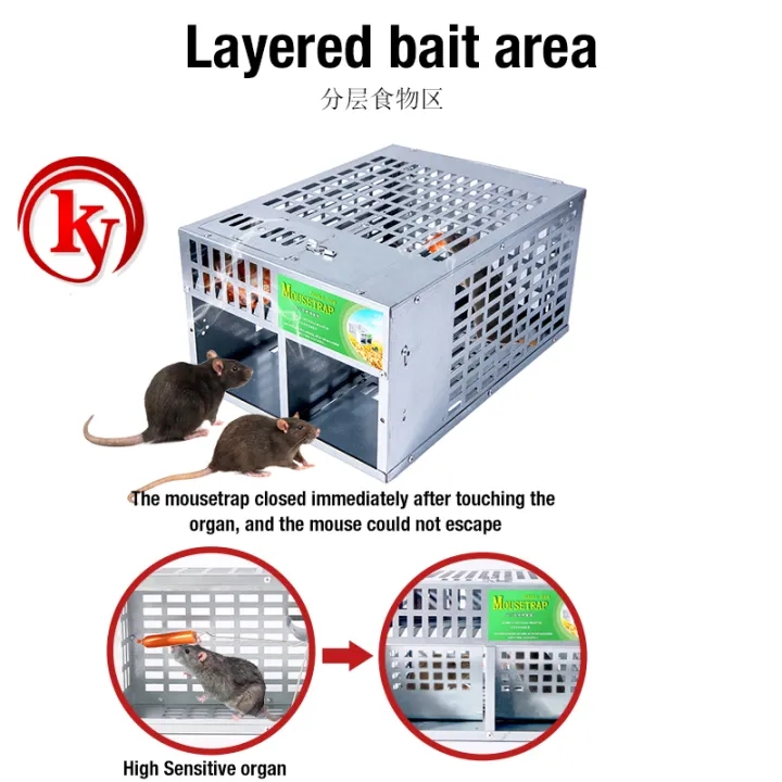 SUSAN 【Large Stock】KUAIBU High Quality Double-door Big Mouse Rats Live ...