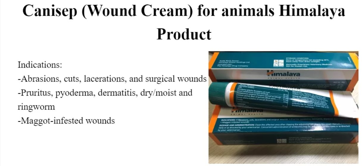 HIMALAYA CANISEP 30g ANTI-BACTERIAL ANTI-FUNGAL FIRST AID CREAM | Lazada PH
