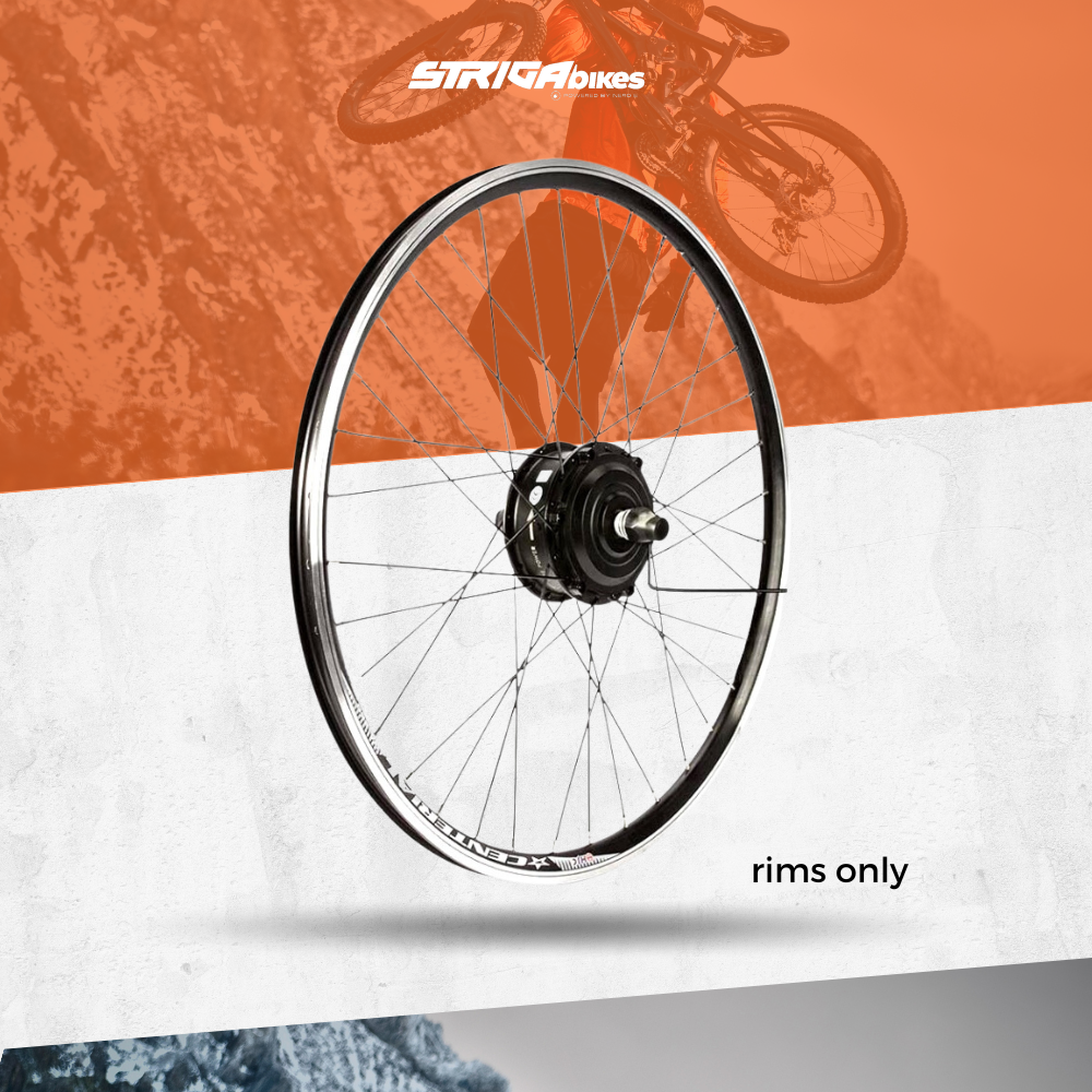 NERO E Pie 1.0 E-Bike V Brake Rims Black | Lazada PH