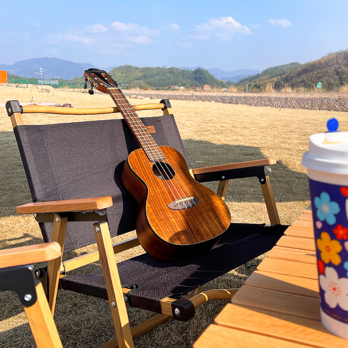 Camping Folding Chair Portable Outdoor Leisure Chair Actor Director ...