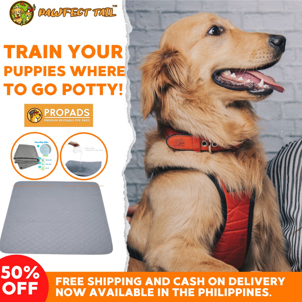 Philippine spot PawfectTail™ Propads( Reusable Pee Pad) | Lazada PH