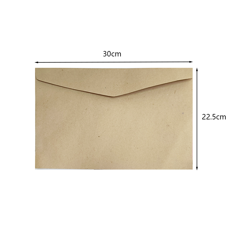 Long Short Brown Envelope per piece | Lazada PH