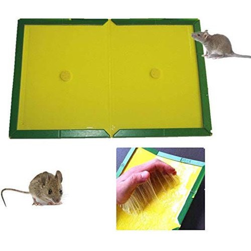 Yuri♥ 1pc Mouse Board Small Sticky Mice Glue Trap High Effective ...