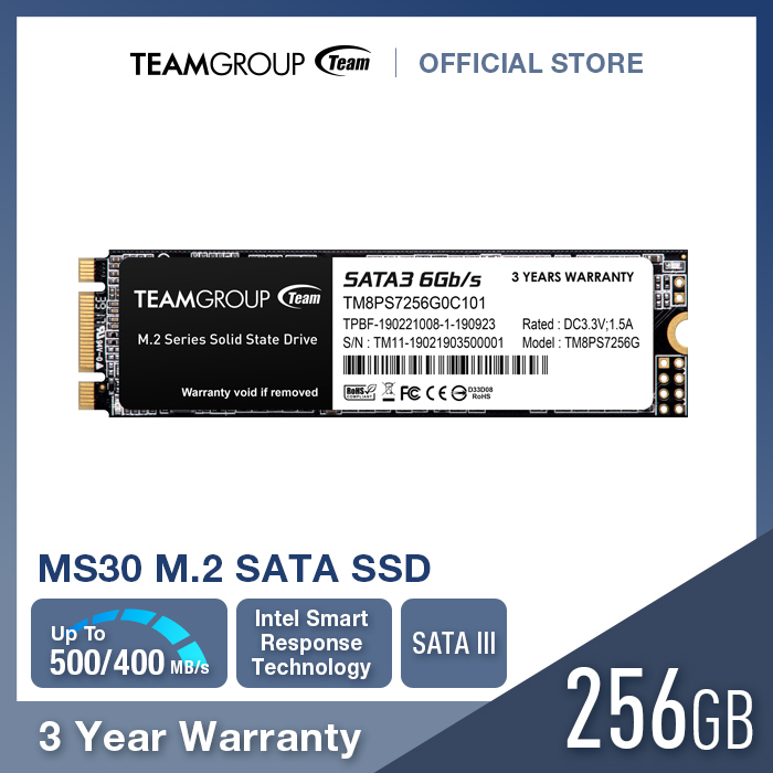 TEAMGROUP MS30 256GB M.2 SATA 2280 Internal SSD Solid State Drive ...