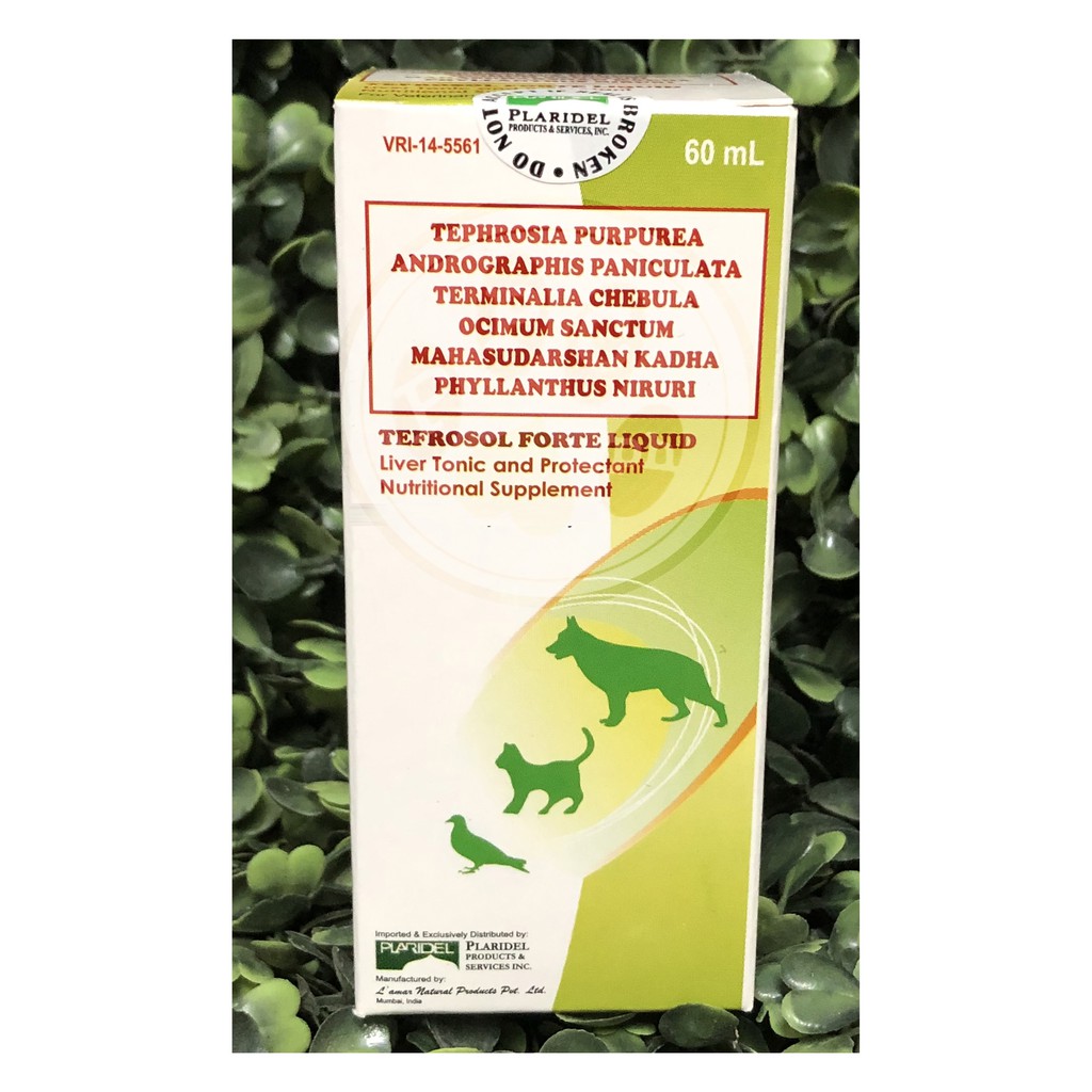 TEFROSOL FORTE Liver Tonic and Protectant 60mlmIX | Lazada PH