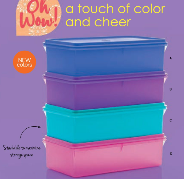 Tupperware Party Keeper (3L) | Lazada PH