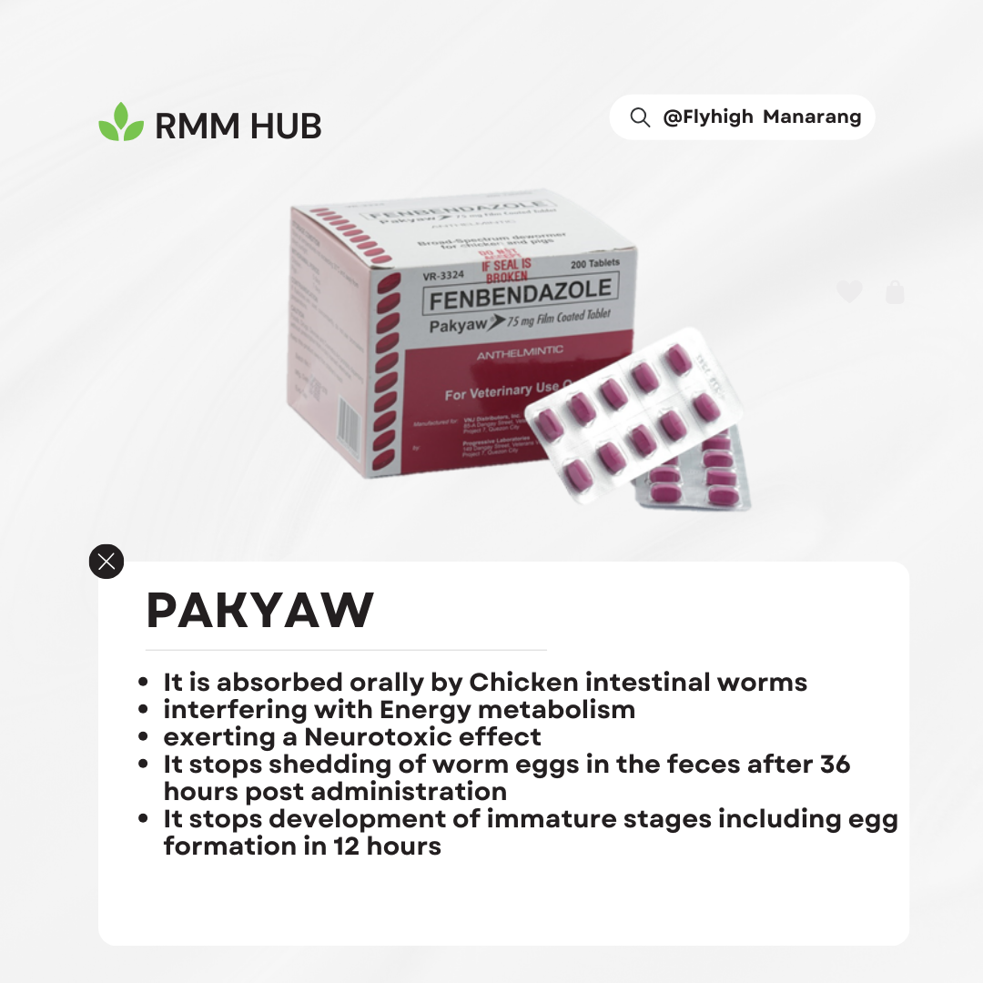 PAKYAW Fenbendazole Dewormer Tablet | Lazada PH