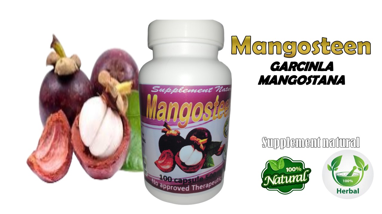 mangosteen /antioxidant /fights bacterial infection | Lazada PH
