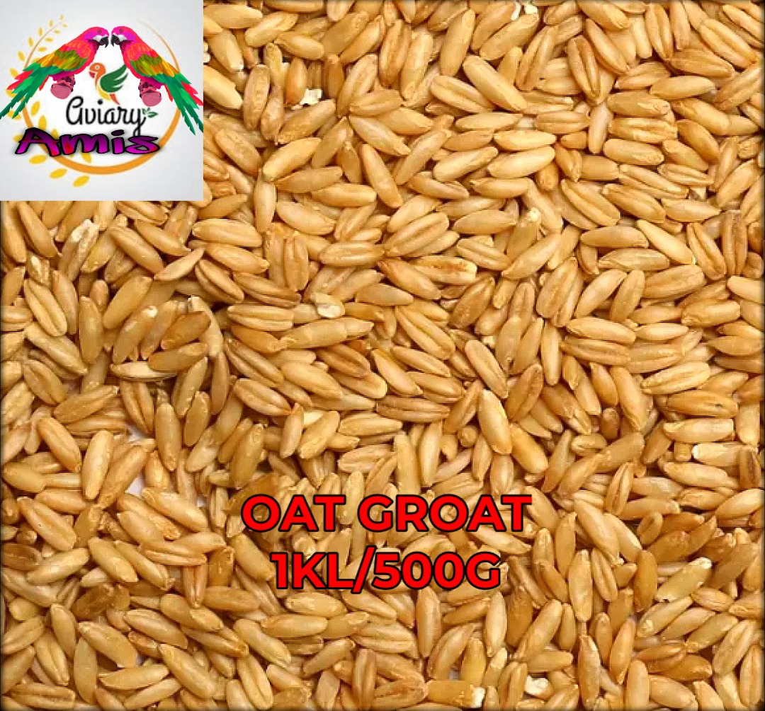OAT GROAT FOR BIRDS 1 KILO / 500g | Lazada PH