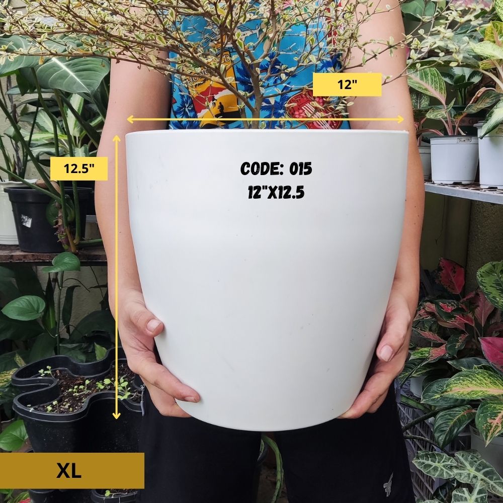 TGH | Elegant and Luxurious Yayamanin Pots for plants small to big size ...