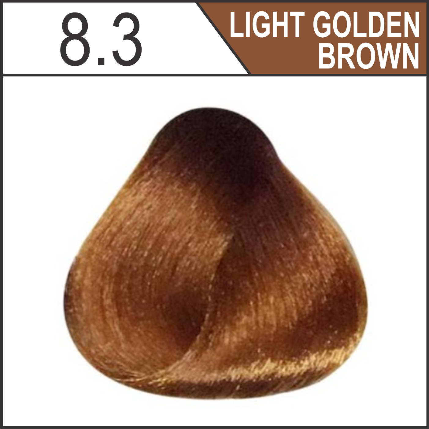 Bremod (ASH BROWN .17/BROWN .3 & .4) Hair Color 100ml with Oxidizer ...