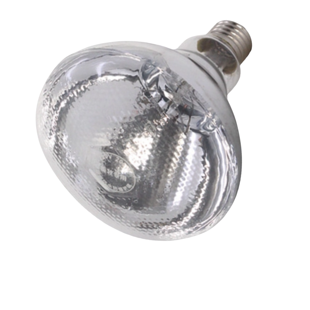 Heat bulb reptile Brooder bulb 25 watts Brooder bulb Bulb for brooder ...
