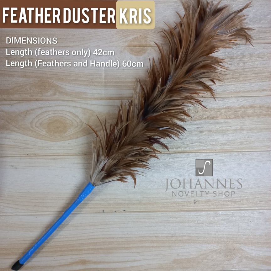 Feather Duster | Lazada PH