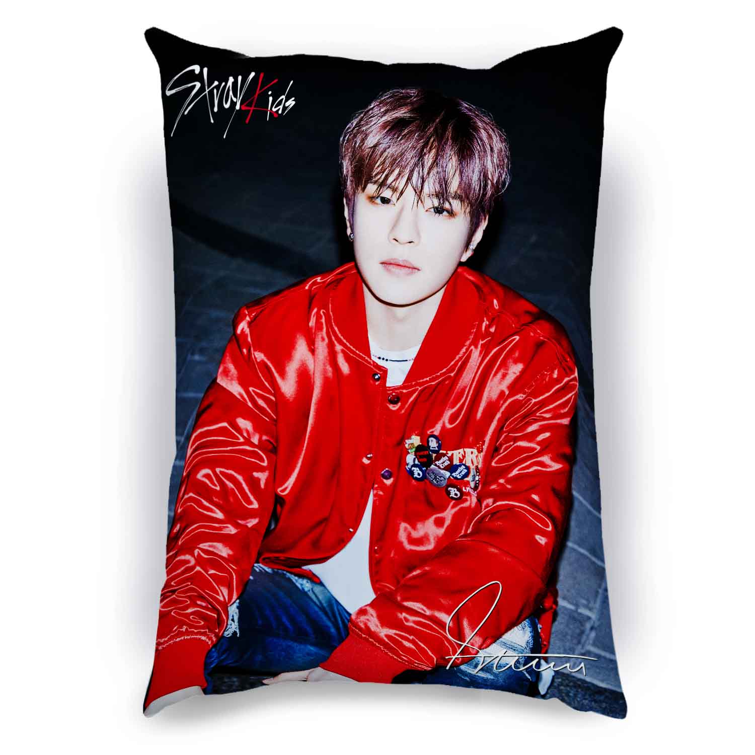 LIVEPILLOW STRAY KIDS Go merchandise set kpop merch Pillow Big size ...