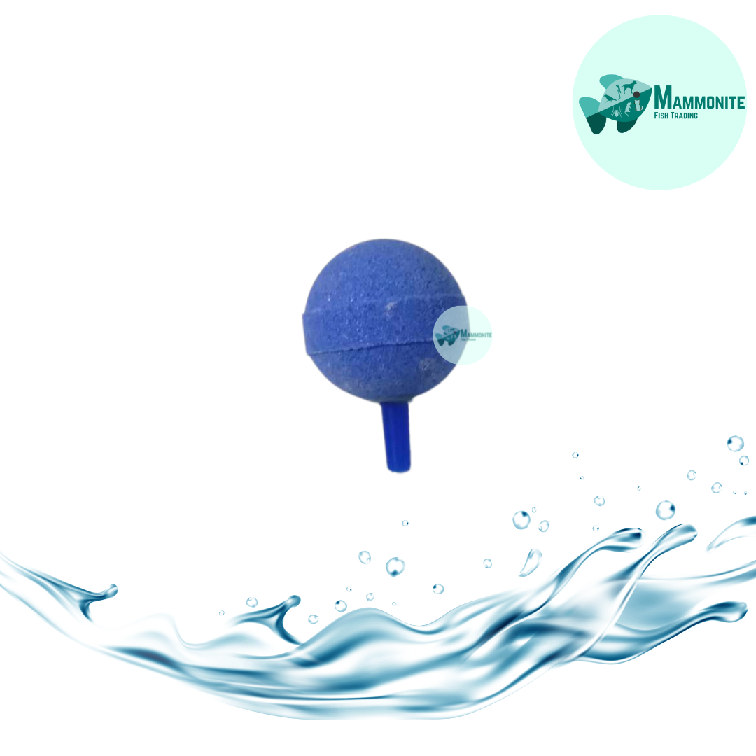 Aquarium Air Stone for Air Pump Submersible Pump Power Head Silicone Hose Bubble Producing ...