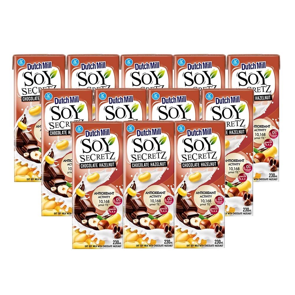 Dutch Mill Soy Secretz Soy Milk Choco Hazelnut 230ml x 12 | Lazada PH