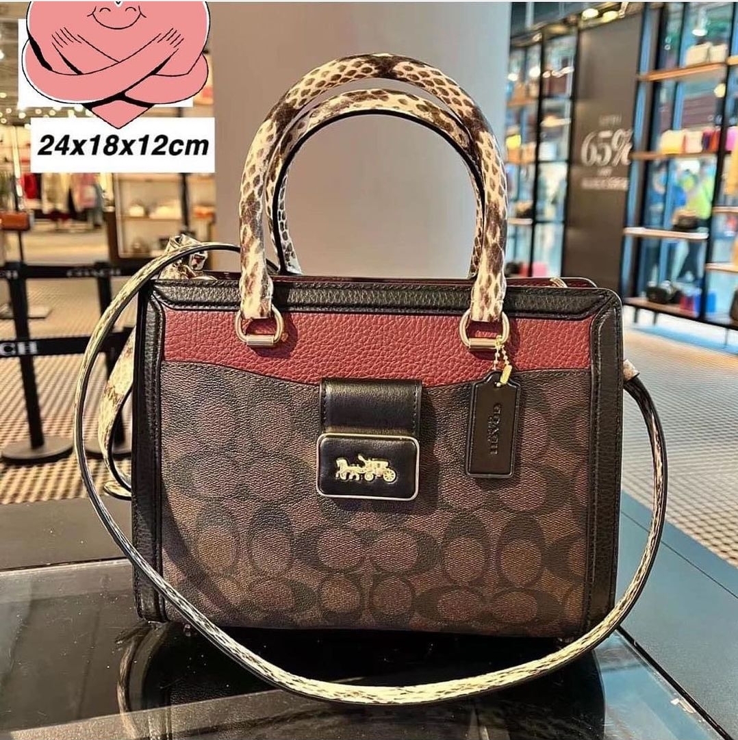 Original Coach CC142 Grace Carryall In Signature Canvas Crossbody ...