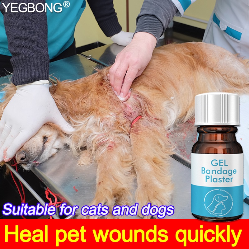Pet wound Rapid Fast Heal Spray Inhibit bacterial infection of pet ...