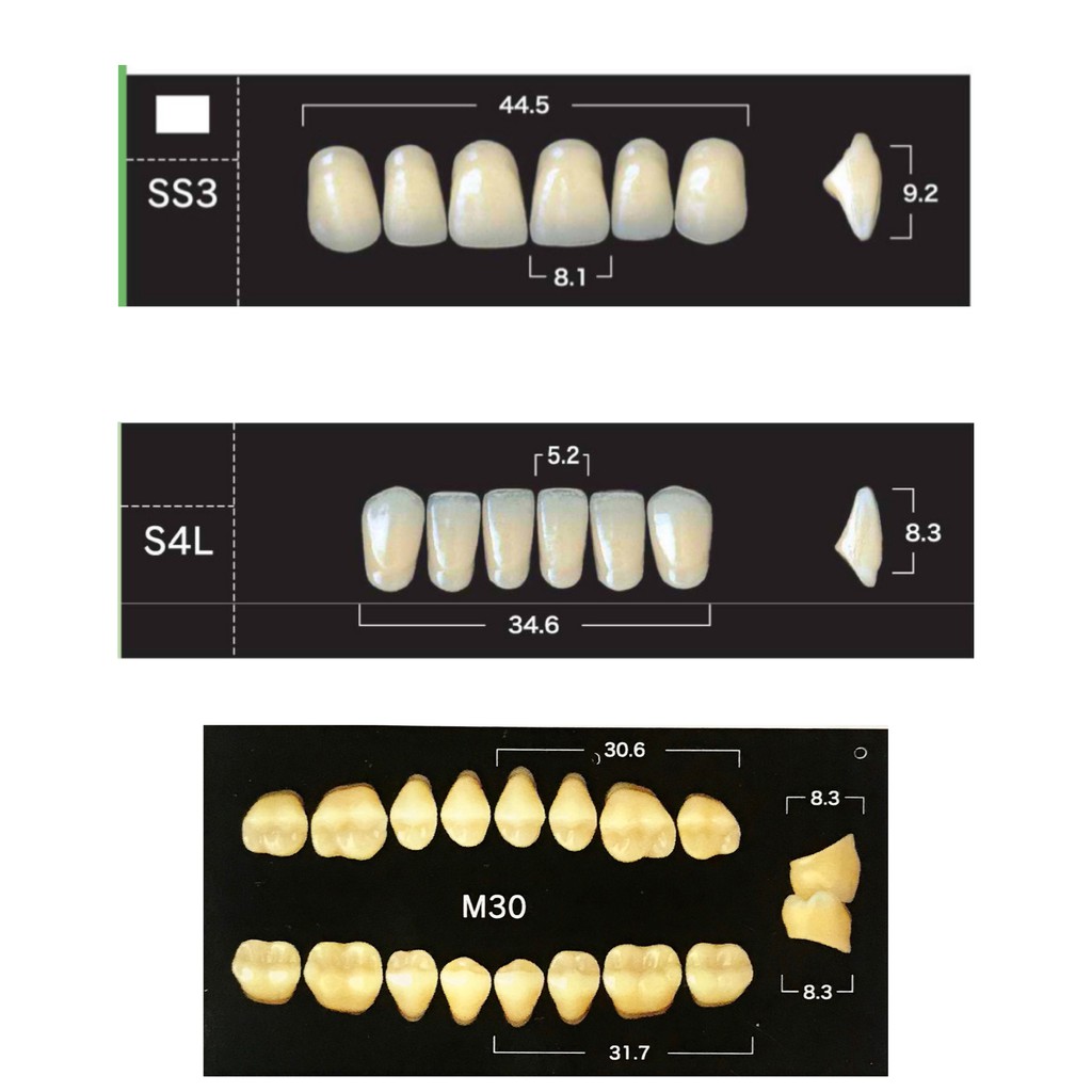 New Ace Anterior Acrylic Teeth Resin ( SETS ) | Lazada PH
