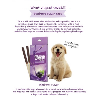 Korea Mungpero Milk Stick for Dogs / Pockiss Pepero | Lazada PH