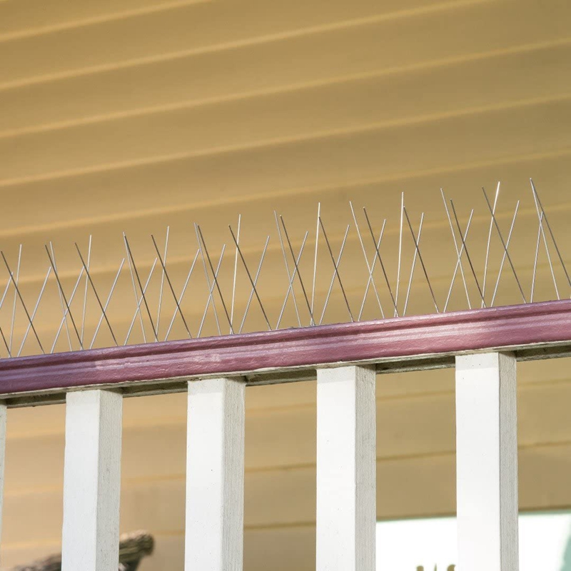 20 Pcs/Box Bird Spikes, Stainless Steel Bird Deterrent Spikes Cover for ...