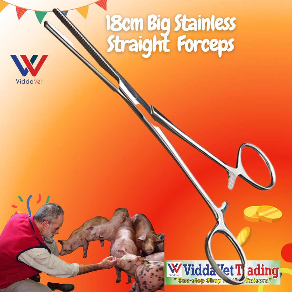 18 cm Forceps Straight Big Stainless Veterinary Hemostatic Surgical ...