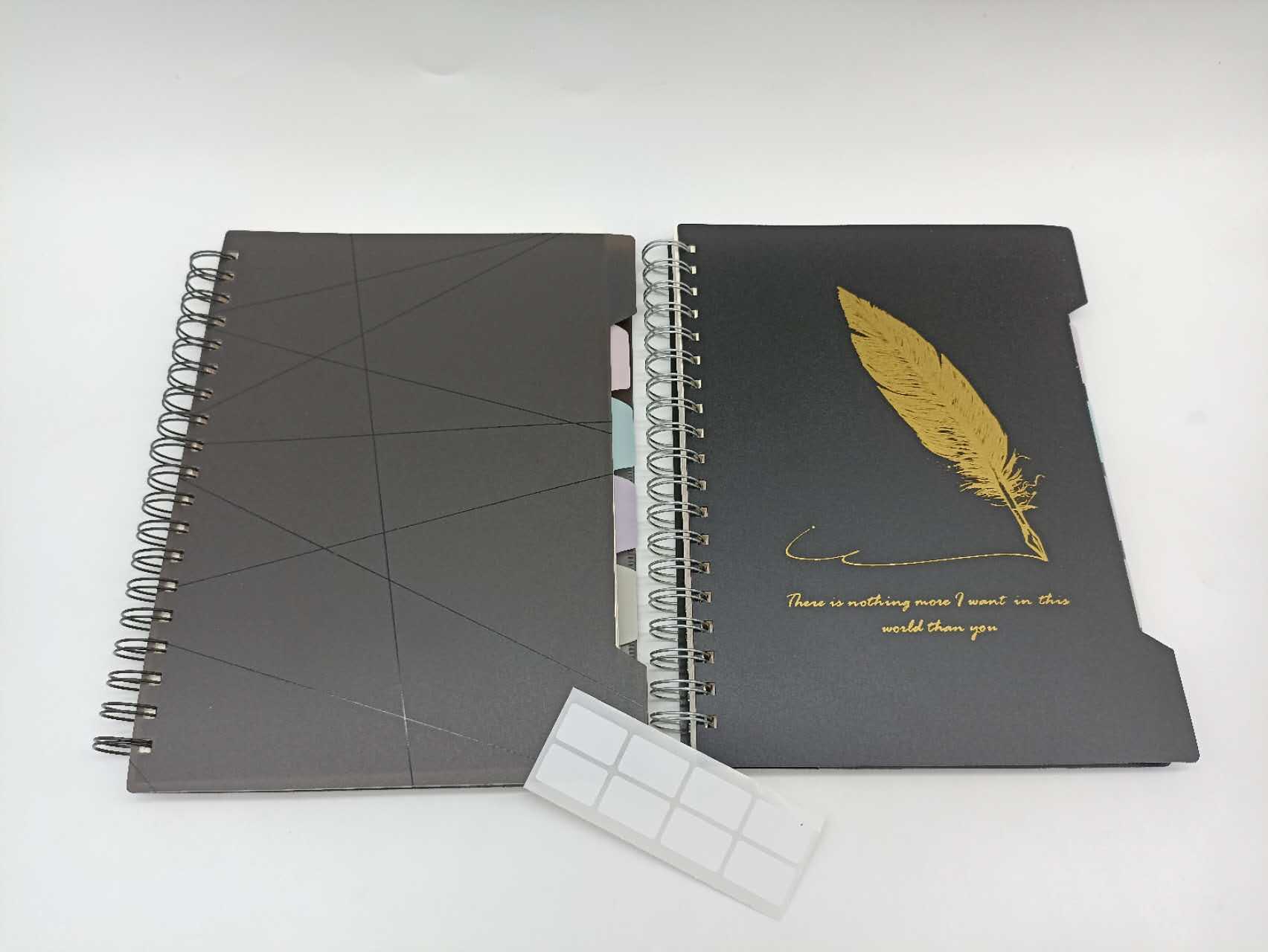 Reminder book Transparent Loose-leaf Book,Coil Book,Index Sticker ...