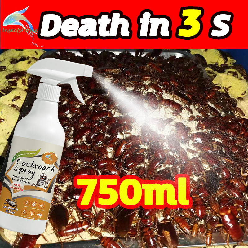 Cockroach Killer Spray 750ml No Pungent Odour Non-Toxic Kill All ...