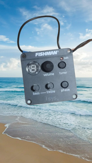 Fishman ISYS + Acoustic Guitar Pickup Onboard Preamps | Lazada PH