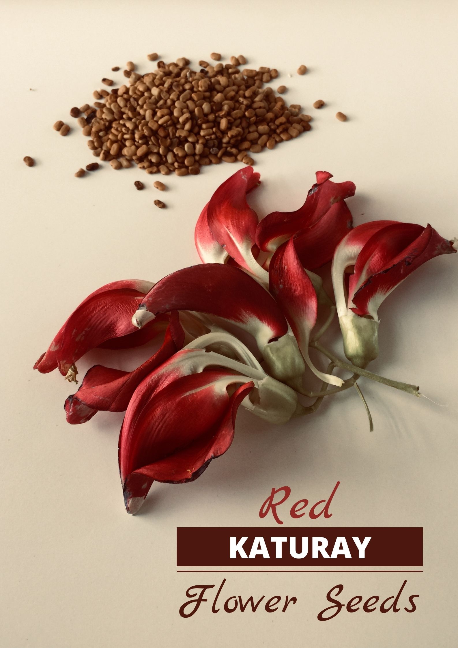 Katuray Flower Nutrients | Best Flower Site