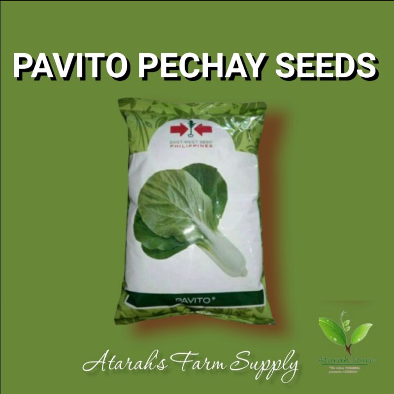 Hybrid PAVITO & PAVO Pechay (1kilo) East West Seeds | Lazada PH