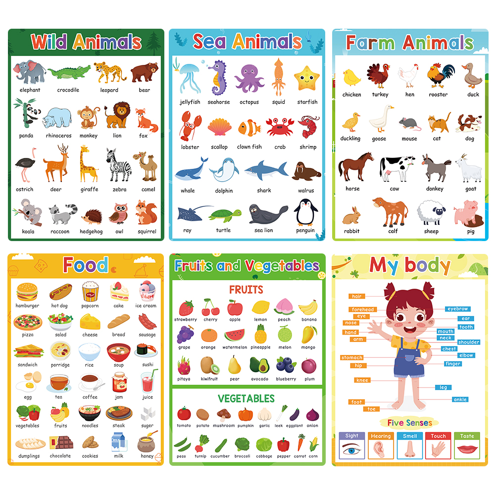 4PCS / 6PCS / 20PCS Cognition Posters Wall Chart Educational Preschool ...