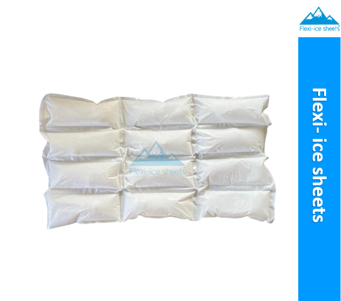 Flexi Ice 2-Ply 4 x 3 Ice Sheets Gel Ice Pack Standard | Lazada PH
