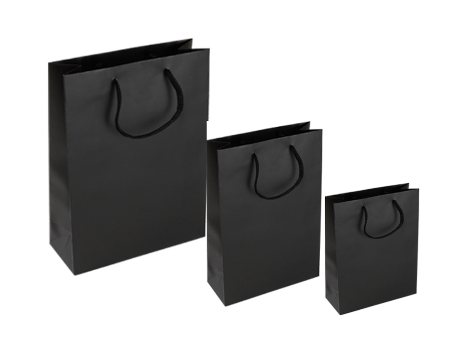 1pc Premium Paper bag with handle rope horizontal vertical paper bag ...