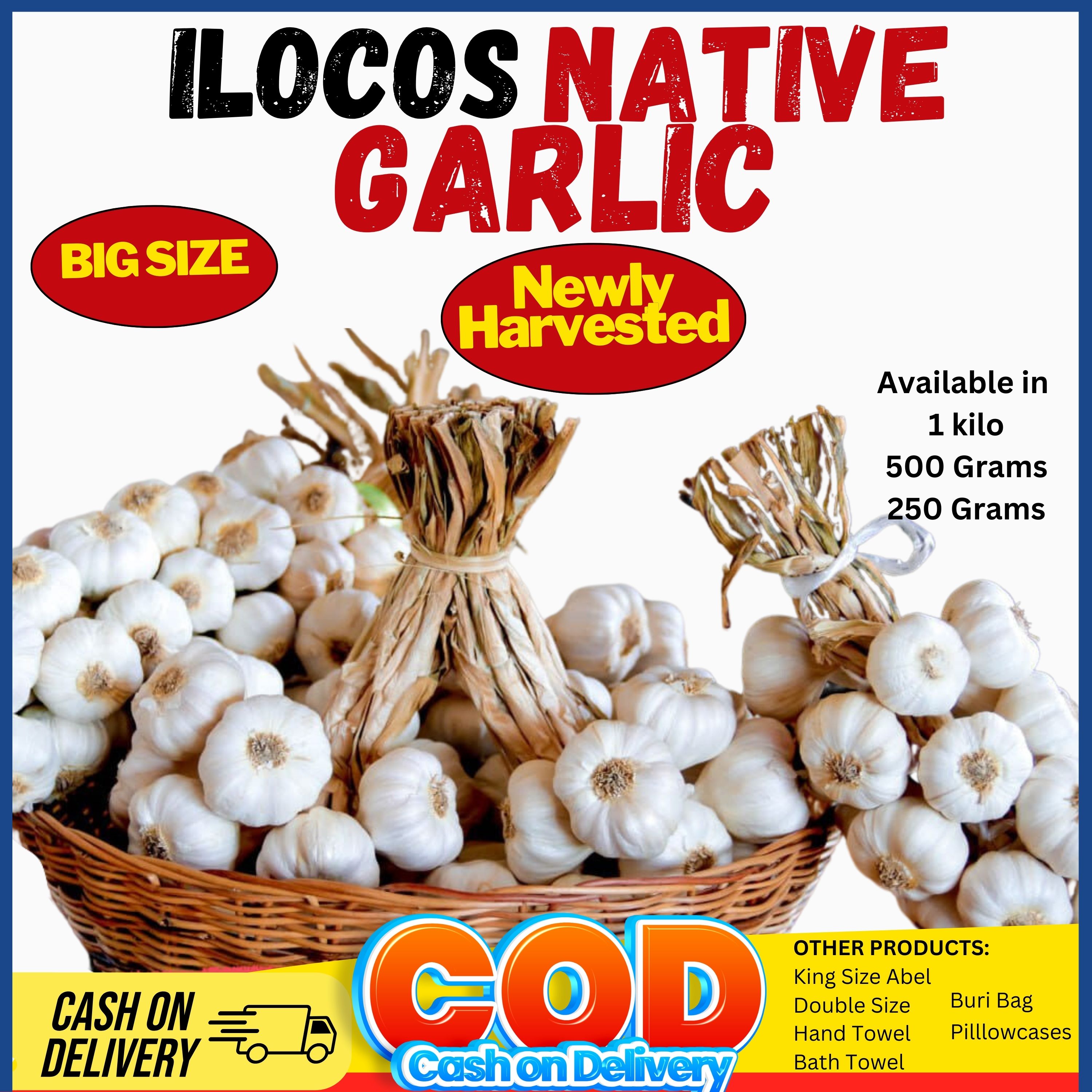 Ilocos Native Garlic Bawang Mabango grams Ilocos Garlic Big Size Native ...