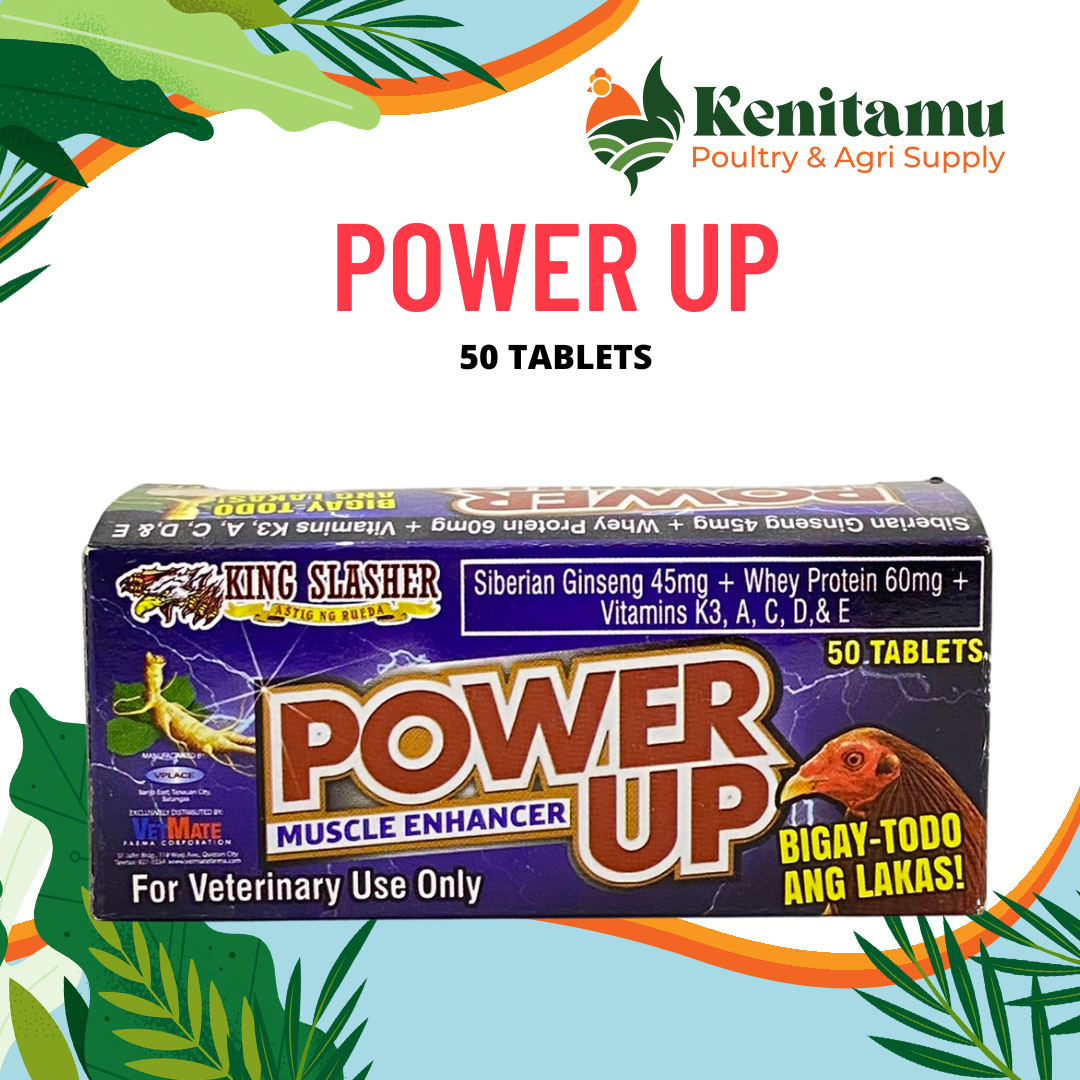 POWER UP – MUSCLE ENHANCER 50 TABLETS BY: KING SLASHER | Lazada PH
