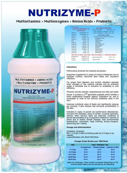 Nutrizyme-P (Multivitamins + Amino acids + Multi-enzymes + Probiotics ...