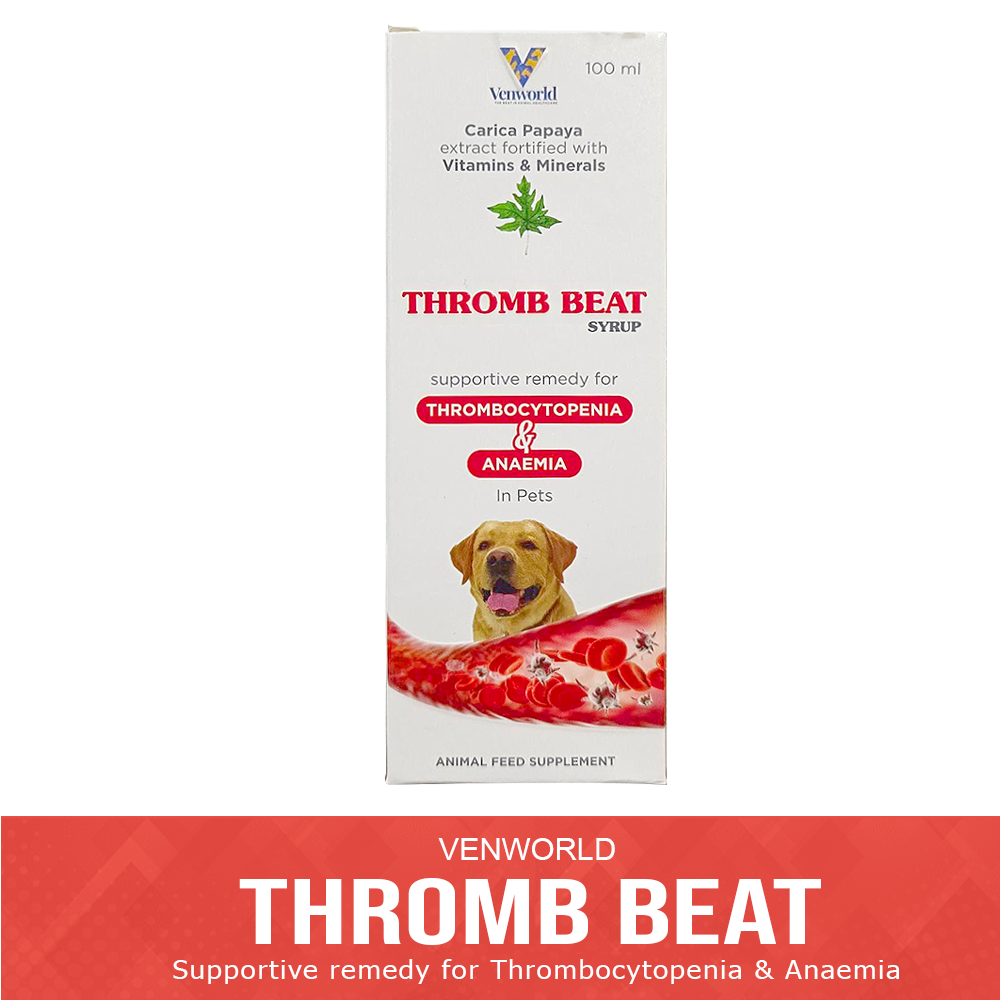 Venworld Thromb Beat Syrup 100mL Supportive Remedy For Thrombocytopenia ...