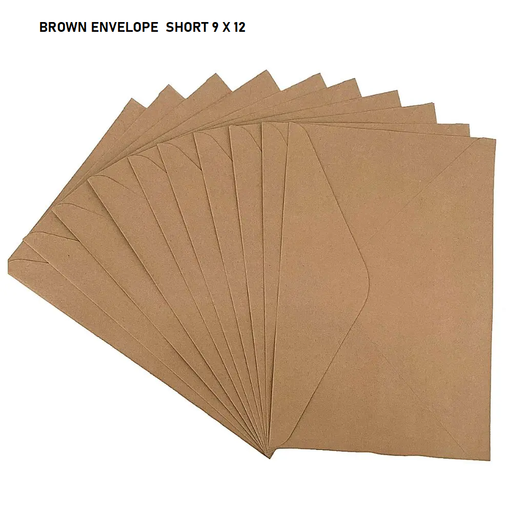 ENVELOPE BROWN ENVELOPE, CATALOG ENVELOPE, STATEMENT ENVELOPE SOLD 6PCS ...