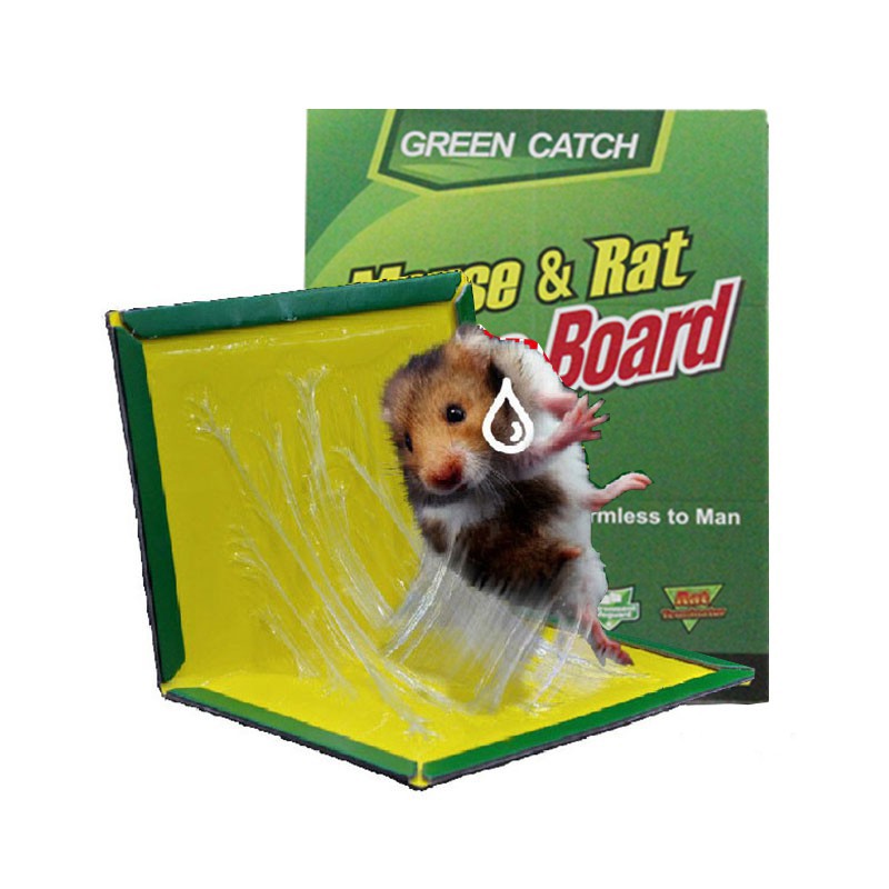 Mouse Rat Glue Trap Rodent expert/Rat Glue snare sticker mice board ...