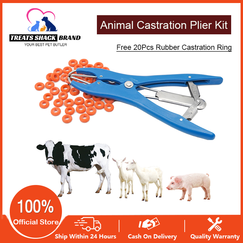 1Set Farm Animal Tail Bloodless Castration Forceps Stainless Steel Castration Bander Snap Pliers ...