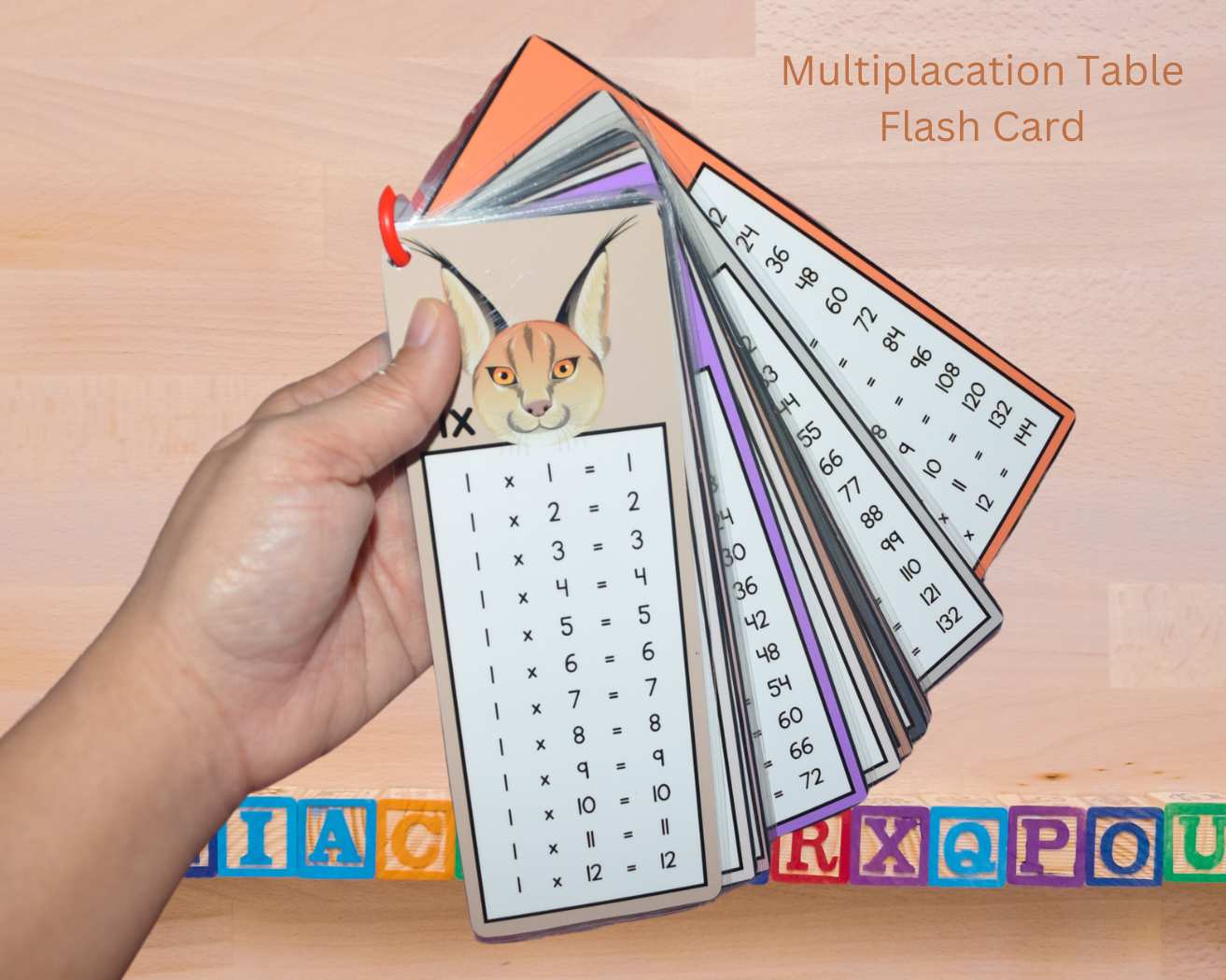 Flash Card detachable (velcro) (Laminated) | Lazada PH