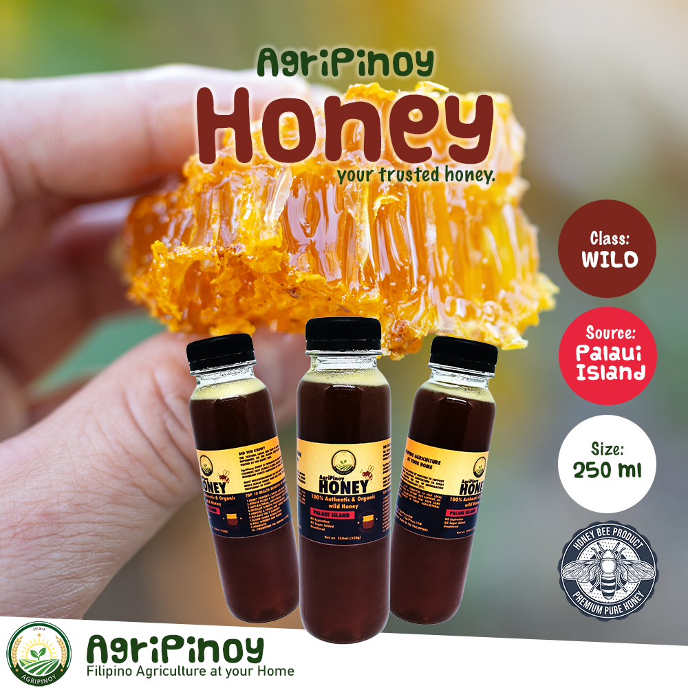 AgriPinoy 100% pure raw organic and wild Honey 700g | Lazada PH