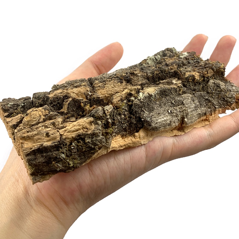 Cork Bark Hide for Isopods - Reptiles Exotic Pets Terrariums | Lazada PH