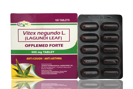 LAGUNDI 600MG TABLET | Lazada PH