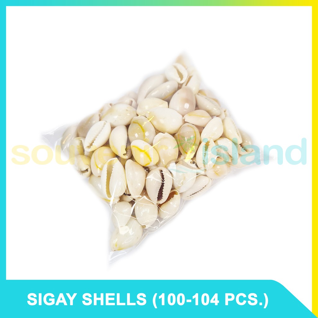 Sungka Sigay Shell Pack (100-104pcs) | Lazada PH