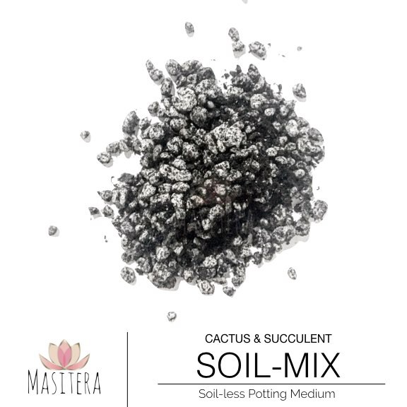 MASITERA CNS SOIL MIX (3KG) | Lazada PH