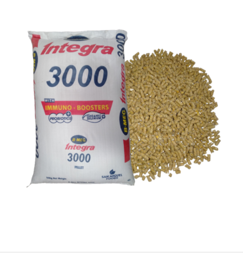 Integra 3000 1kg | Lazada PH